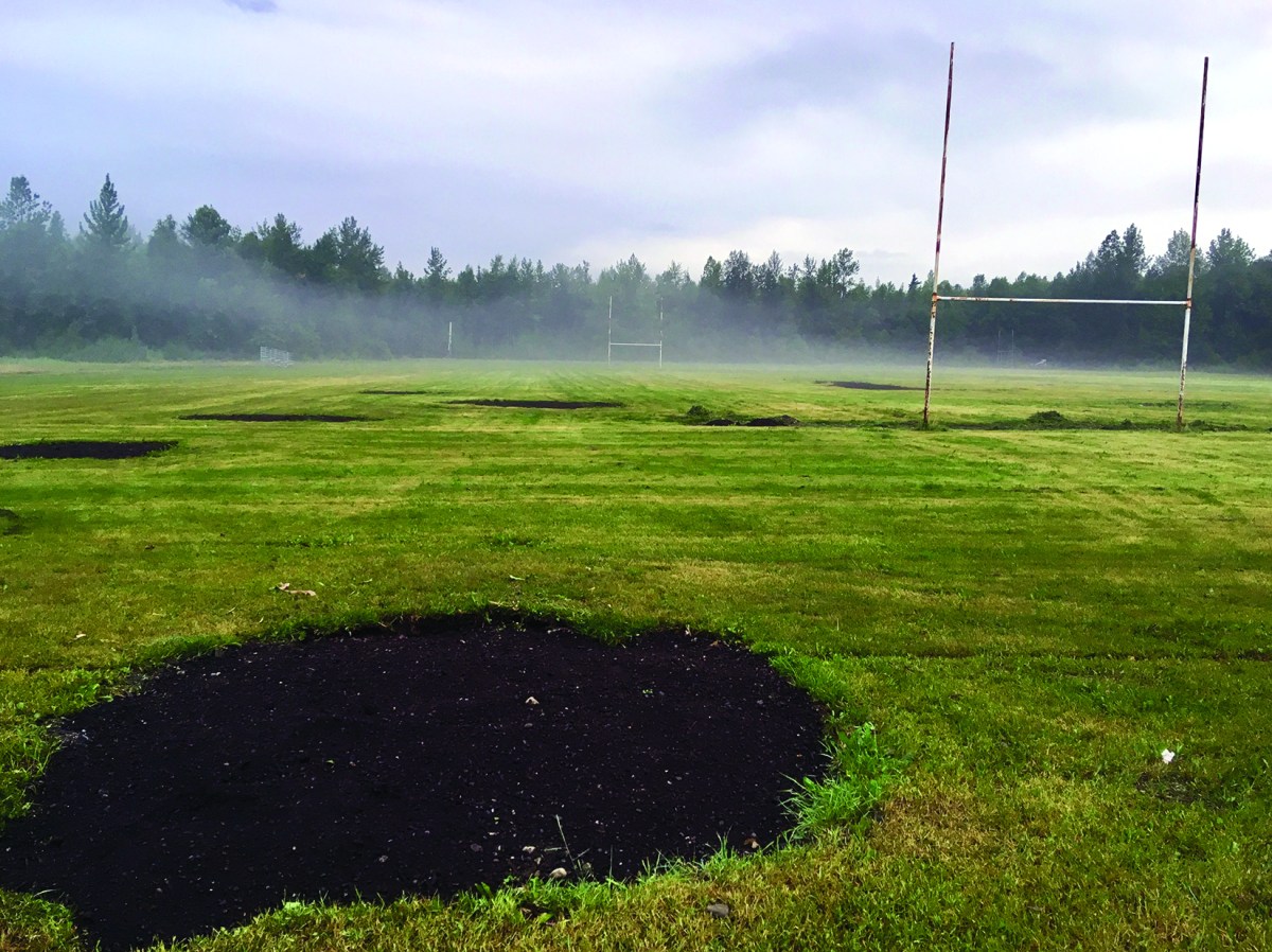 Sinkholes sideline Davis Park rugby pitch – Mountain View Post